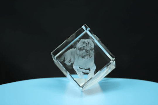 Custom 3D Laser Crystal Engraving, Photo Crystal Engraving - Cushy Pups